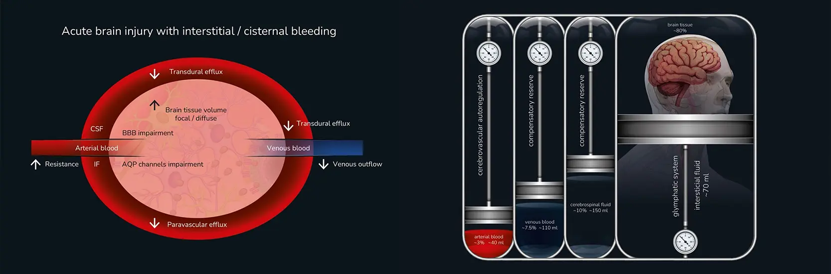 La doctrina Monro-Kellie 4.0: de la presión a la dinámica intracraneal ...
